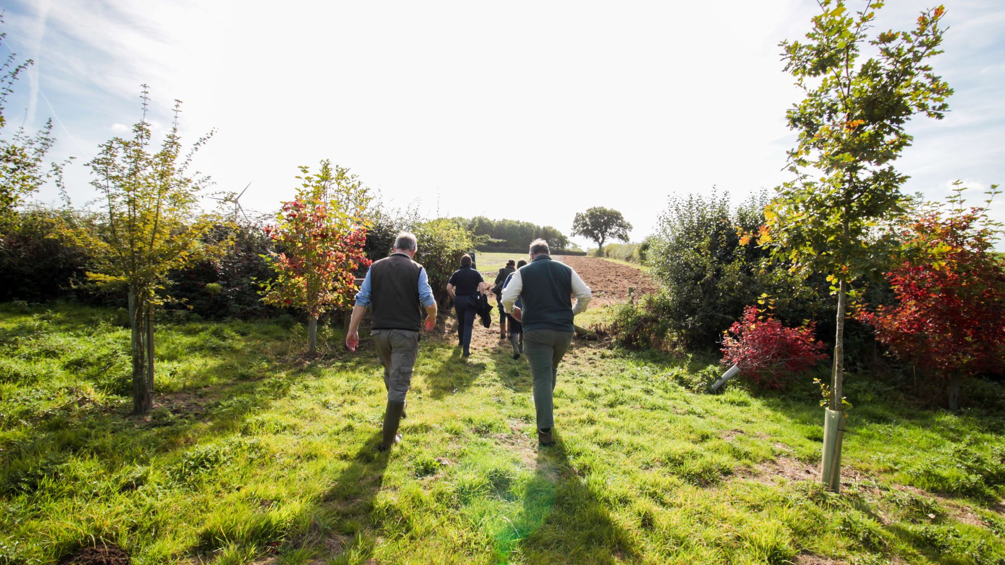 'Exploring Agroforestry' with LEAF - Agroforestry Design