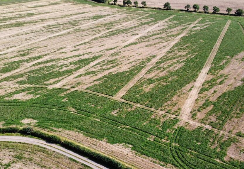Design Portfolio - Agroforestry Design